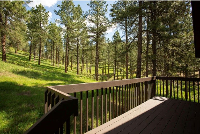 Family Cabin - Campfire Cabins